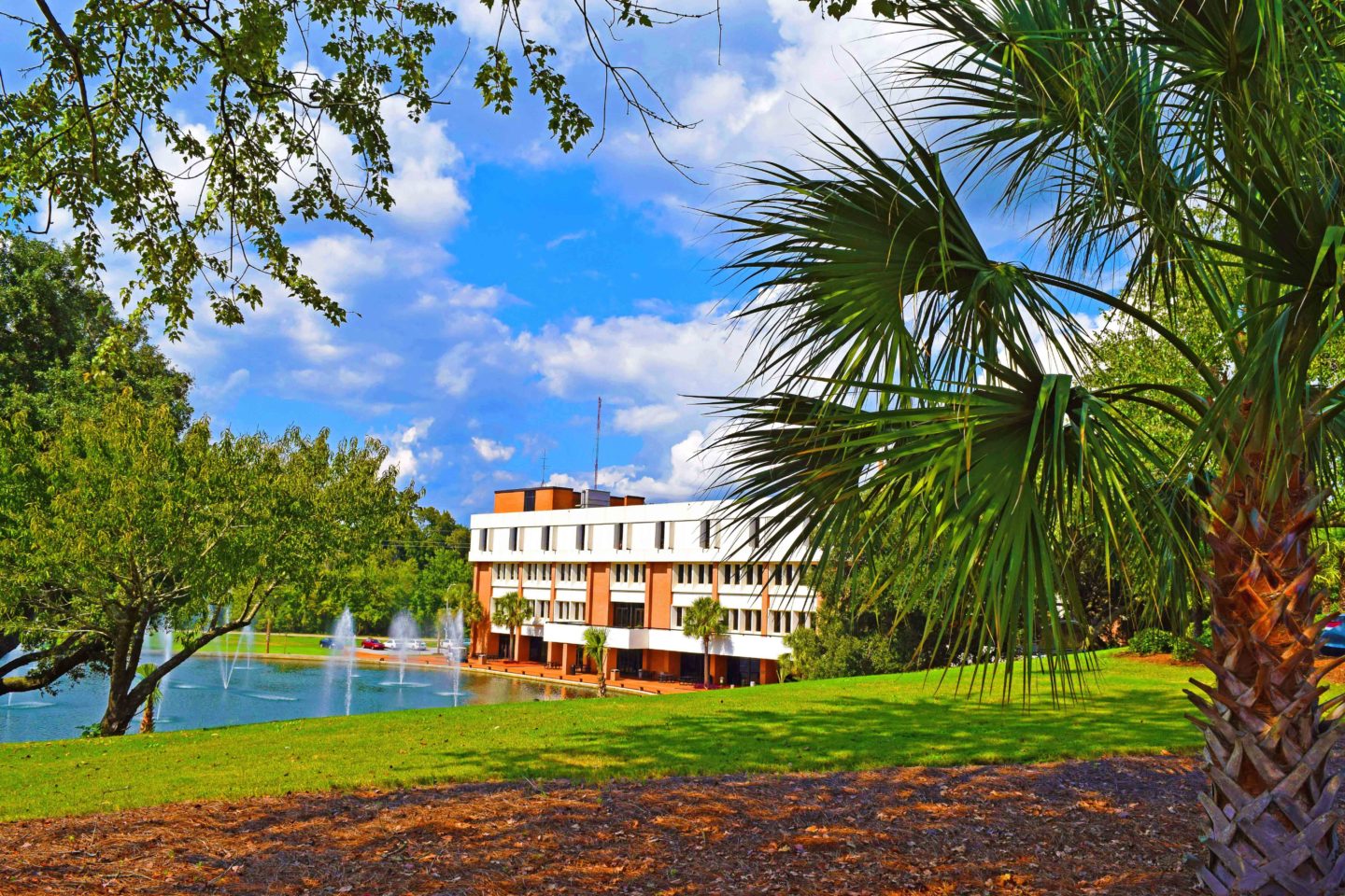 Florence-Darlington Technical College | Start College Here